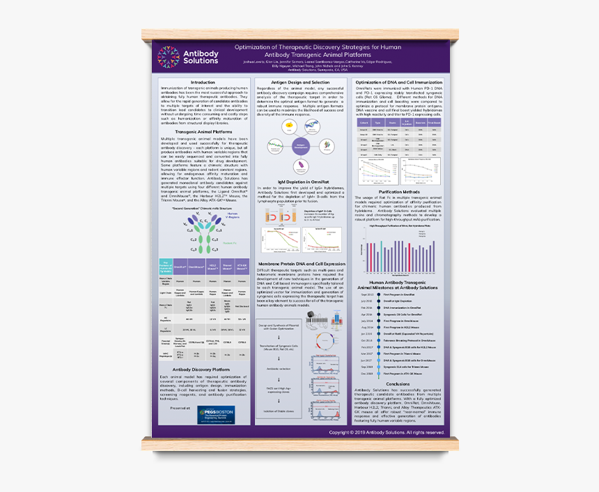 Banner, HD Png Download , Transparent Png Image - PNGitem