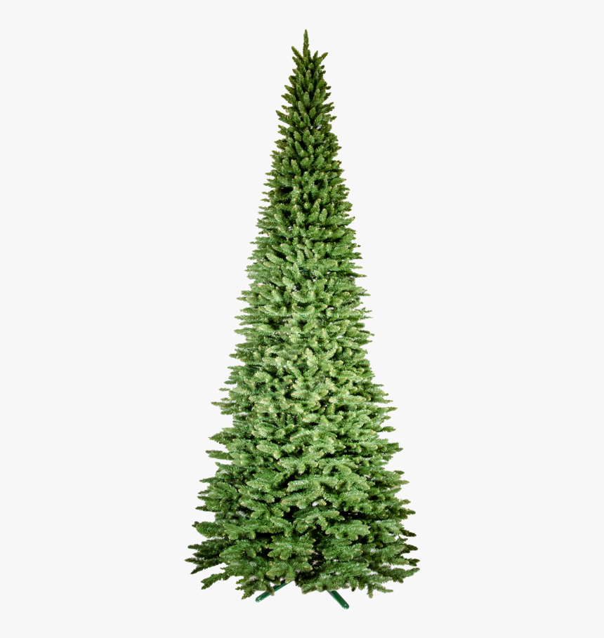 Christmas Tree, HD Png Download , Transparent Png Image - PNGitem
