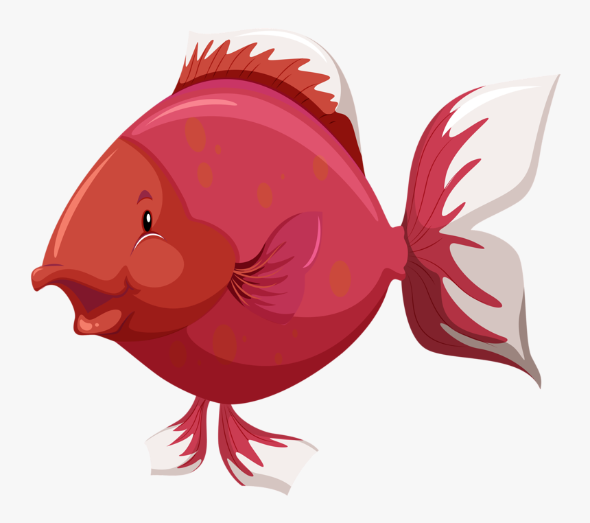 Red Fish Png - Parts Of The Body Of Fish, Transparent Png , Transparent ...