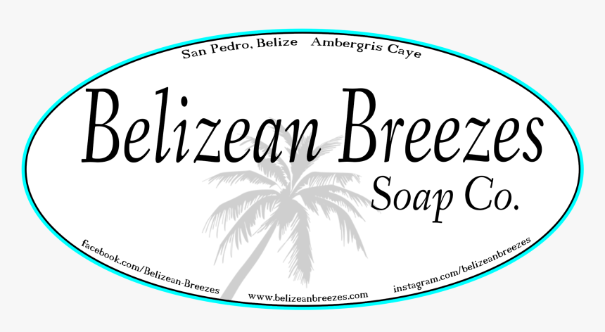 Silver Line Logo, HD Png Download , Transparent Png Image - PNGitem