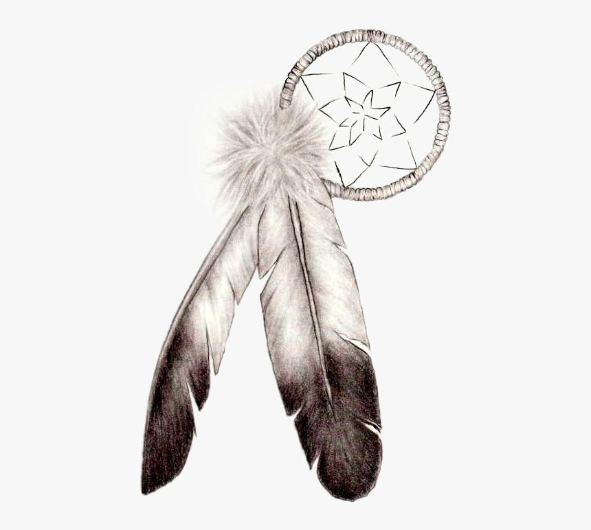 Indian Feather Png, Transparent Png , Transparent Png Image - PNGitem