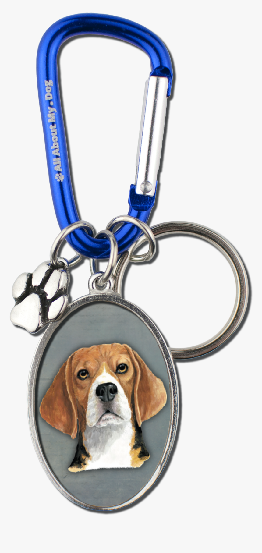 Beagle Png, Transparent Png , Transparent Png Image - PNGitem