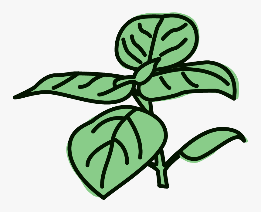 Lemon Basil Sorbet Clipart , Png Download - Clipart Basil, Transparent ...