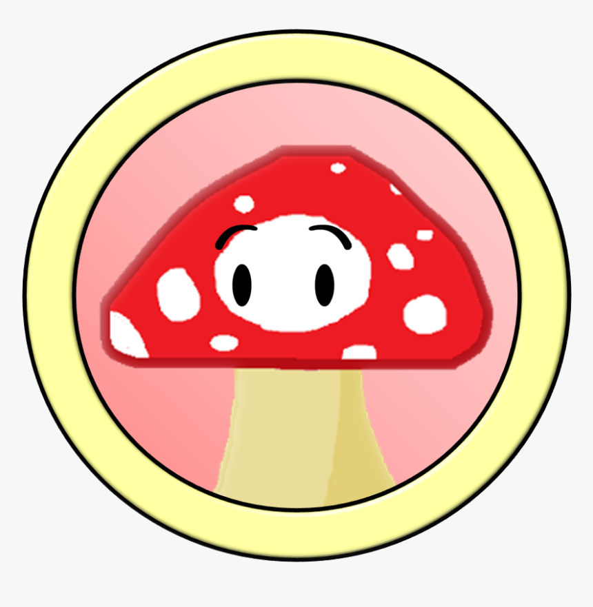 Head Lice Life Cycle - Circle, HD Png Download , Transparent Png Image ...