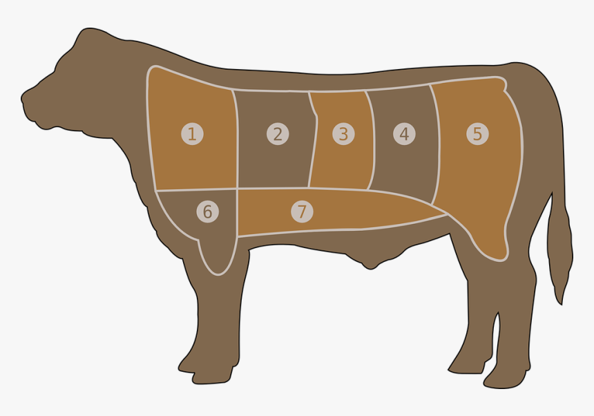 Meat Chart, Beef, Butcher, Cow, Steak, Farm, Part - Outline Of Beef ...
