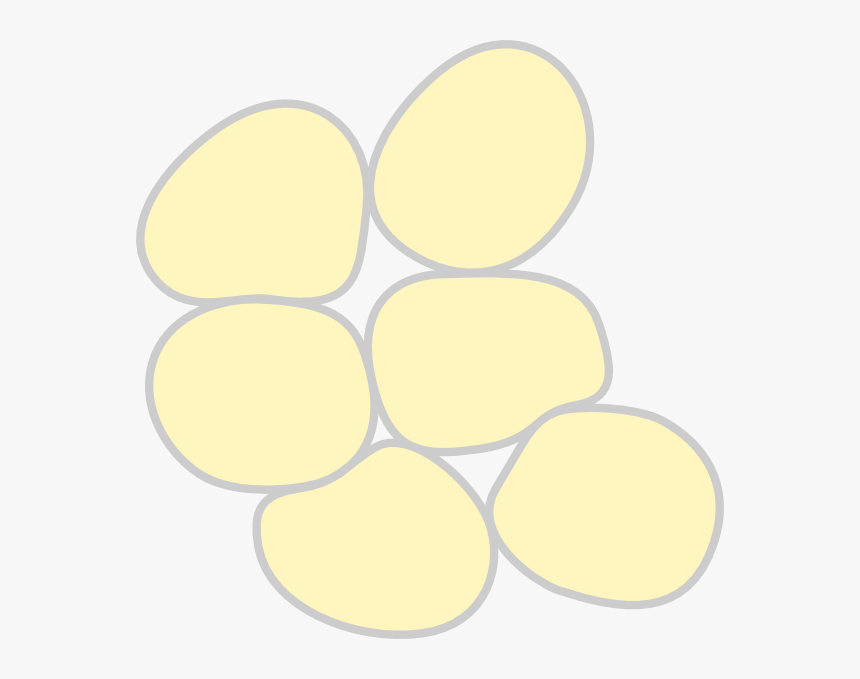 Free Cliparts Download Clip - Adipose Tissue Clipart, HD Png Download ...