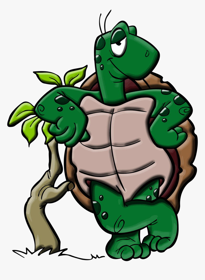 Cartoon Turtle Png, Transparent Png , Transparent Png Image - PNGitem