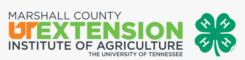 Ut Extension 4 H Logo, HD Png Download , Transparent Png Image - PNGitem