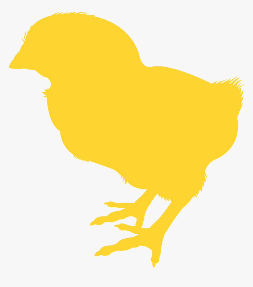 Silueta De Pollito