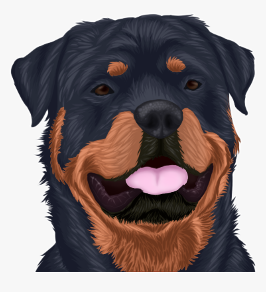 Rottweiler, HD Png Download , Transparent Png Image - PNGitem