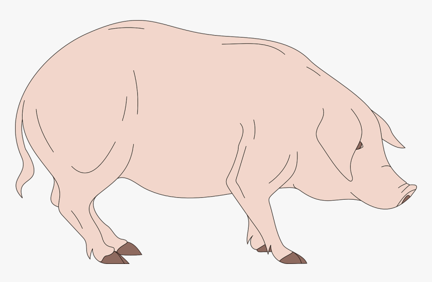 Cartoon Pig Side View