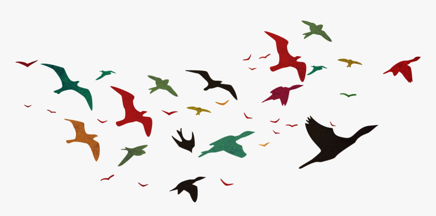 Bird Vector , Png Download - Bird Vector, Transparent Png , Transparent ...