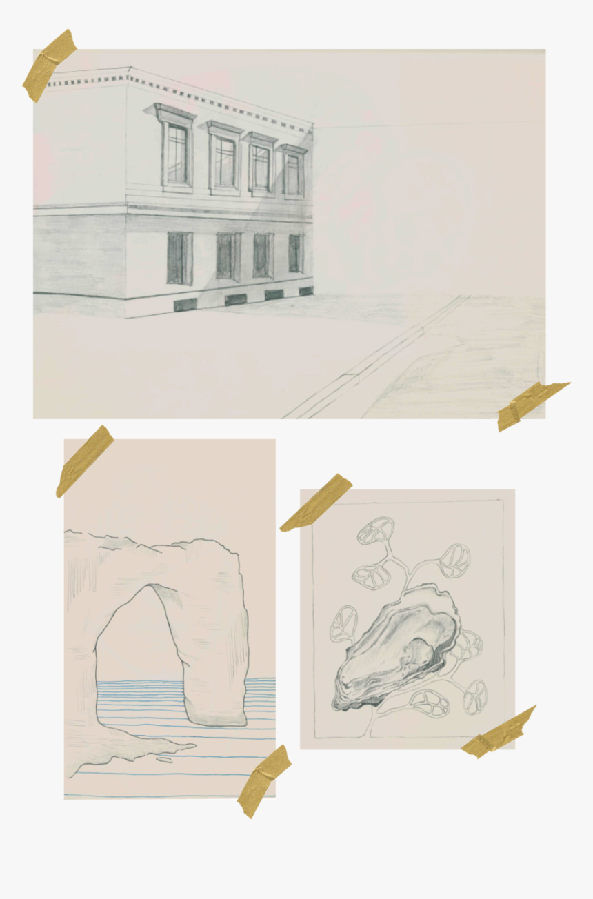 Sketchbook4 - Sketch, HD Png Download , Transparent Png Image - PNGitem