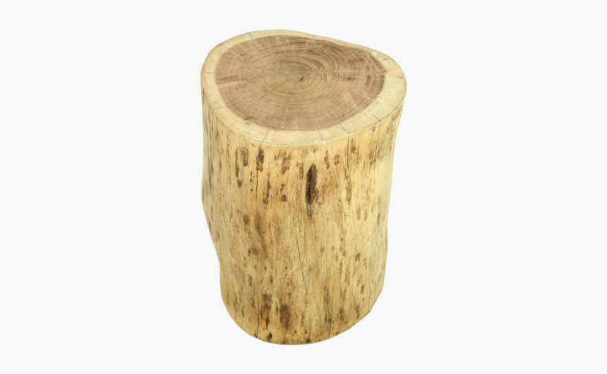 Tree Stump, HD Png Download , Transparent Png Image - PNGitem