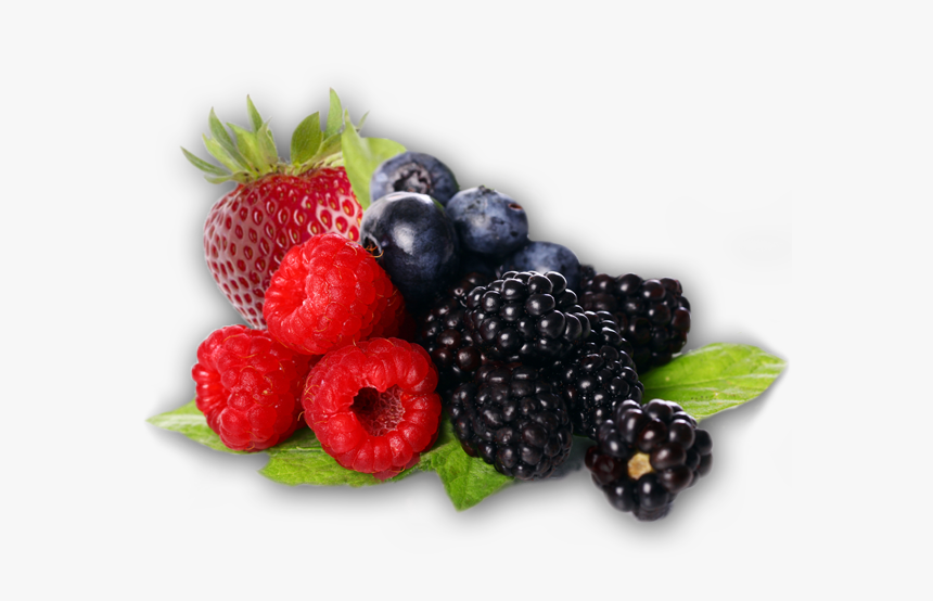 Bramble - Transparent Background Berries Png, Png Download ...