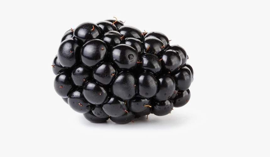Blackberry Fruit Transparent - Blackberry Fruit, HD Png Download ...