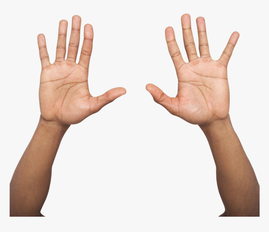 Hand Palm Up Png - Two Hands Up Png, Transparent Png , Transparent Png ...