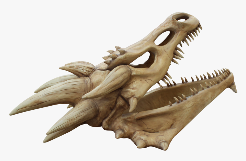 Dragon Skull Png - Statue, Transparent Png , Transparent Png Image ...