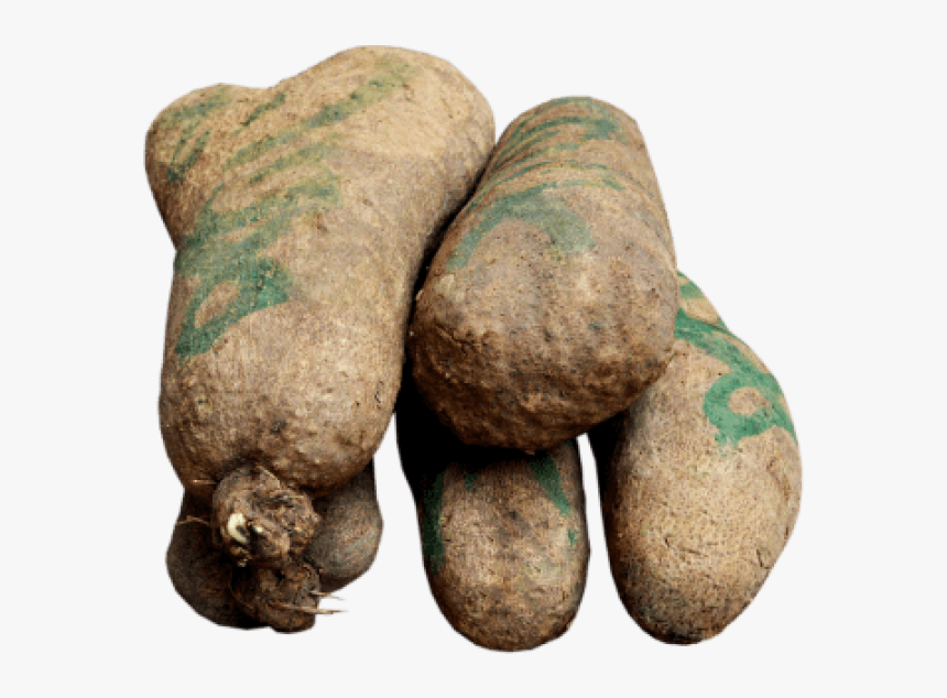 Yam Tuber Png, Transparent Png , Transparent Png Image - PNGitem