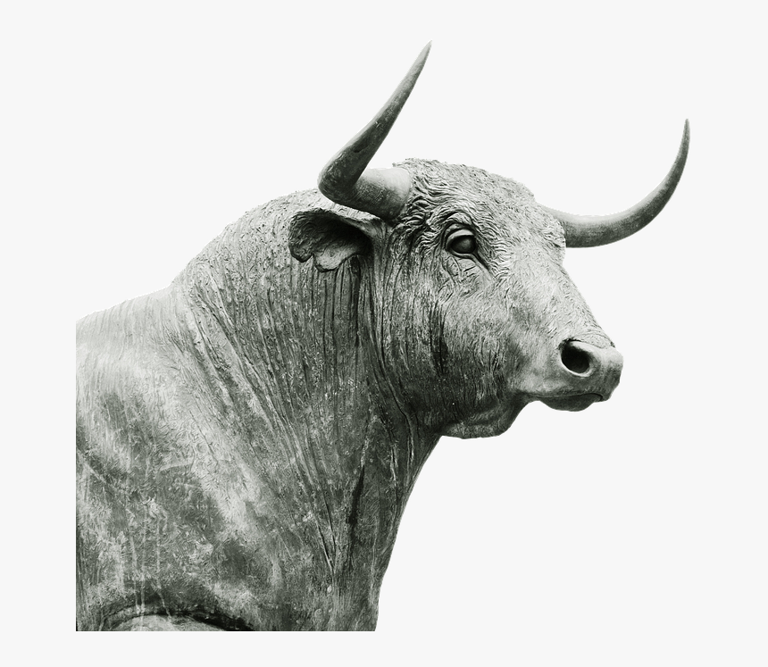 Bull Horns - Bull Horn And Ears, HD Png Download , Transparent Png ...