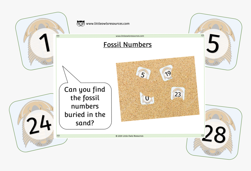 Fossil Numbers Cover - Cartoon, HD Png Download , Transparent Png Image ...