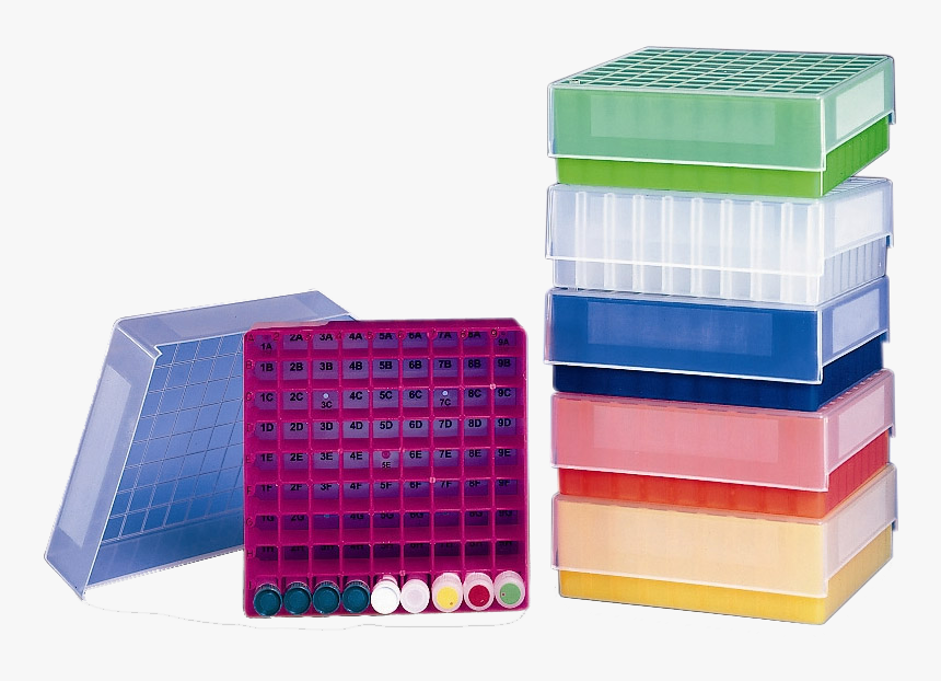 Pink Divider Png, Transparent Png , Transparent Png Image - PNGitem