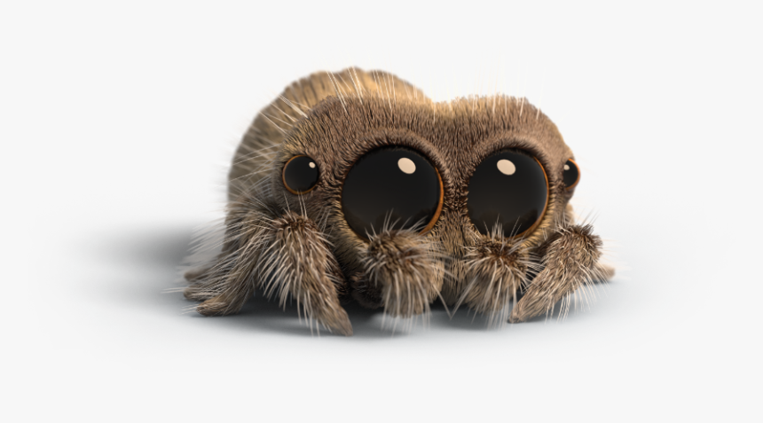 Lucas The Spider No Background, HD Png Download , Transparent Png Image ...