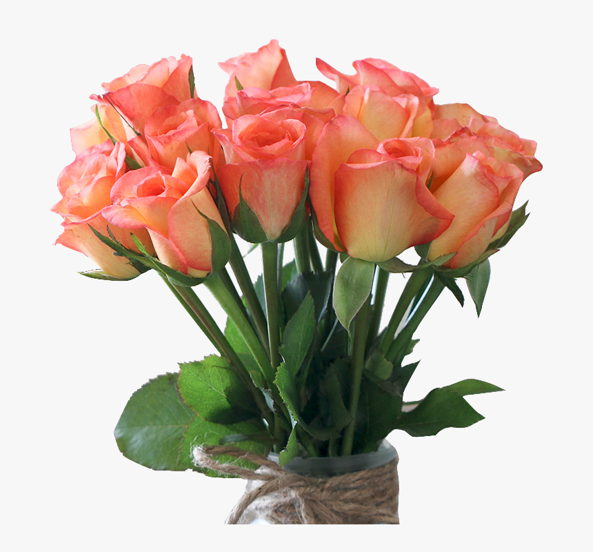 Natural Rose Flower Hd Images | Best Flower Site