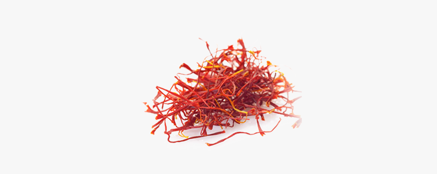 Saffron Color Palette, HD Png Download , Transparent Png Image - PNGitem