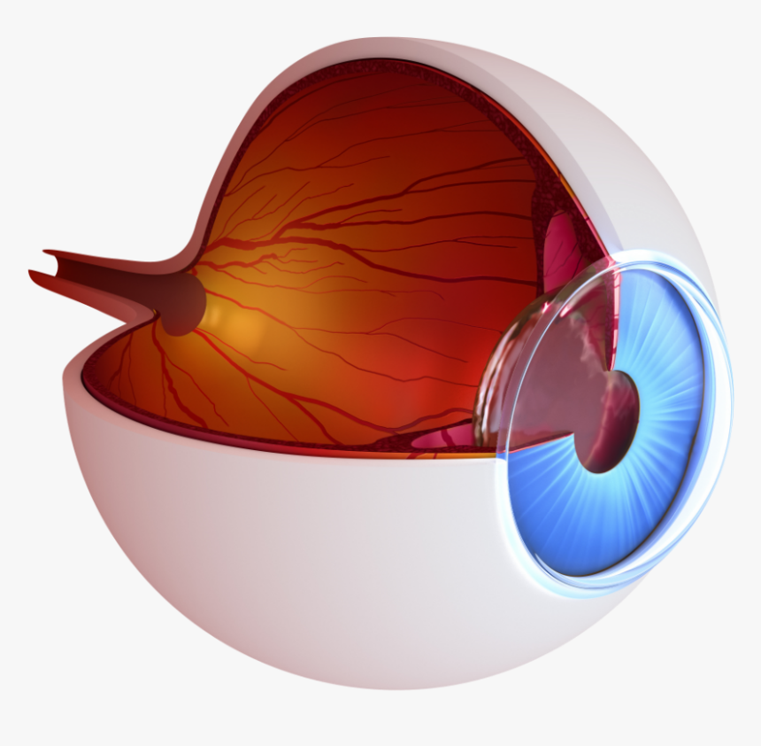 Inside An Eye, HD Png Download , Transparent Png Image - PNGitem