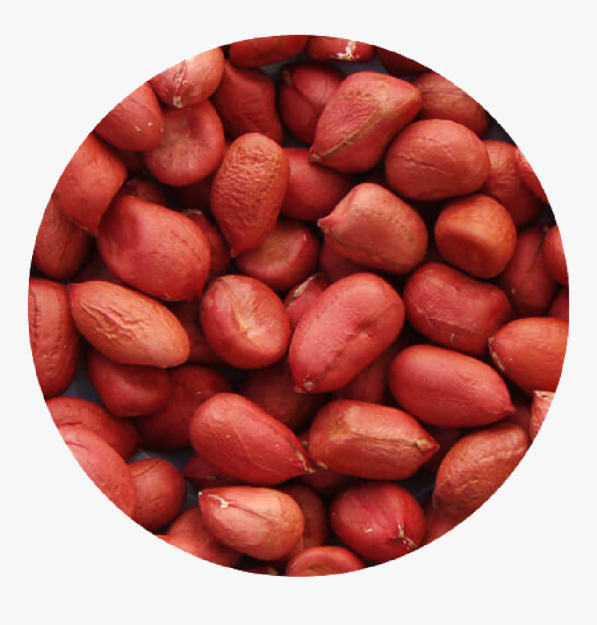 Hd Groundnuts Png, Transparent Png , Transparent Png Image - PNGitem