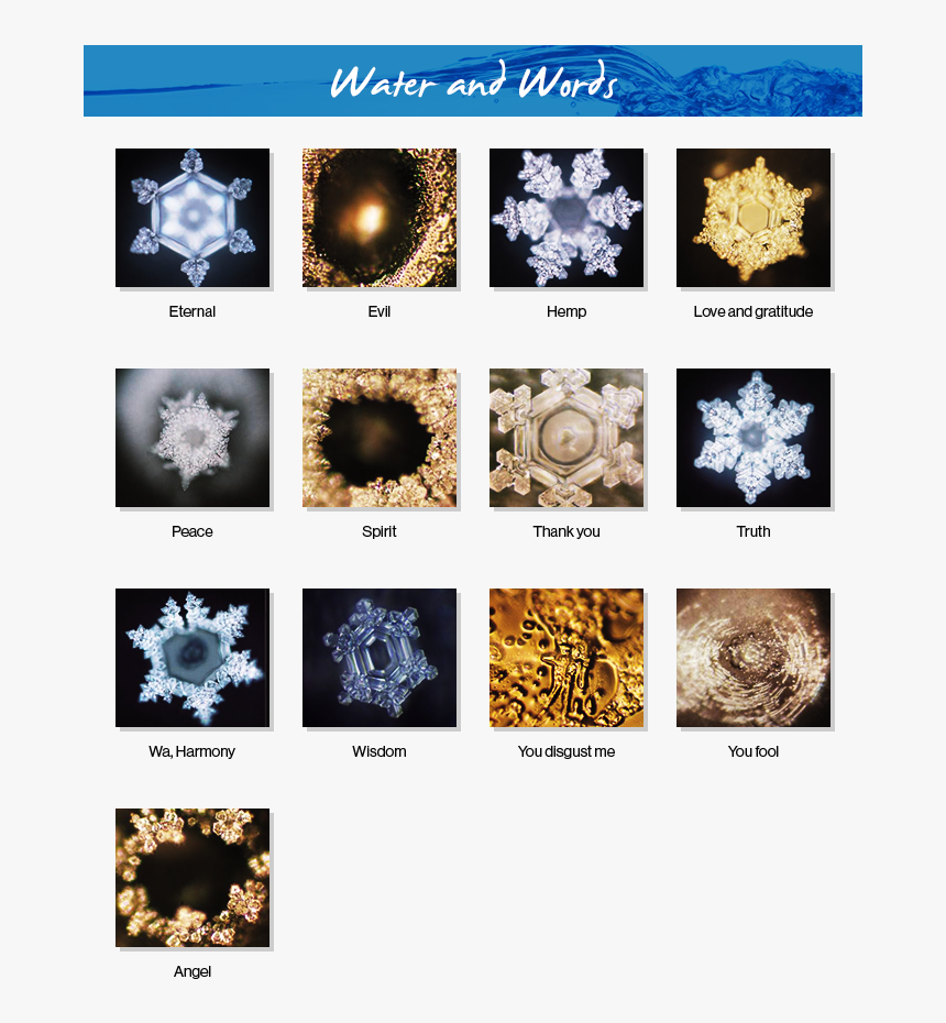 Effects Of Words On Water , Png Download - Effects Of Positive Words On ...