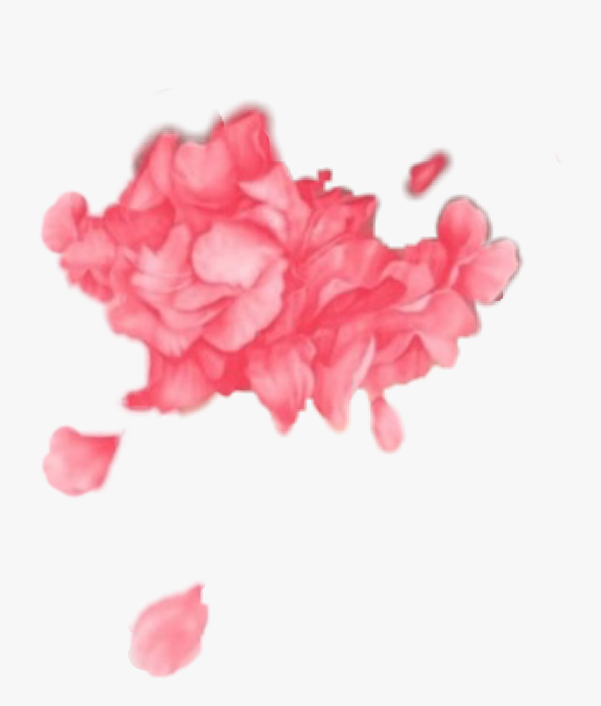 #troyesivan #troyesivanwild #troyesivanflowers #pink - Troye Sivan ...