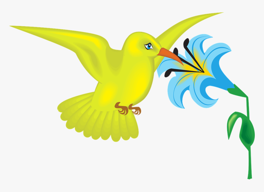 Birds Clipart Flower - Birds And Flowers Clipart, HD Png Download ...