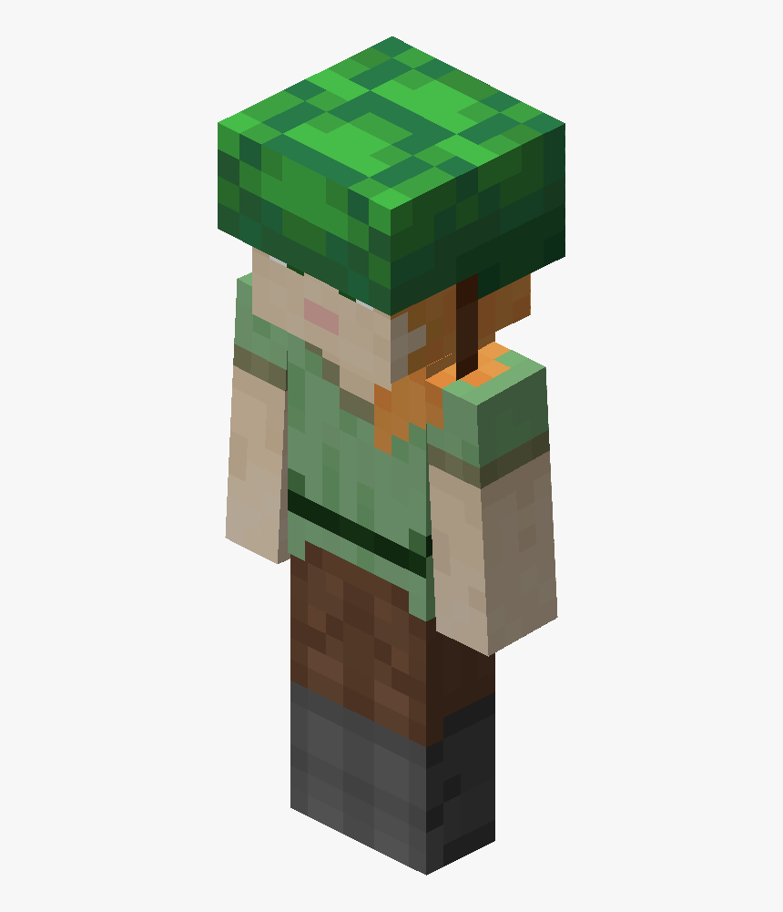 Minecraft Turtle Shell Helmet HD Png Download Transparent Png Image