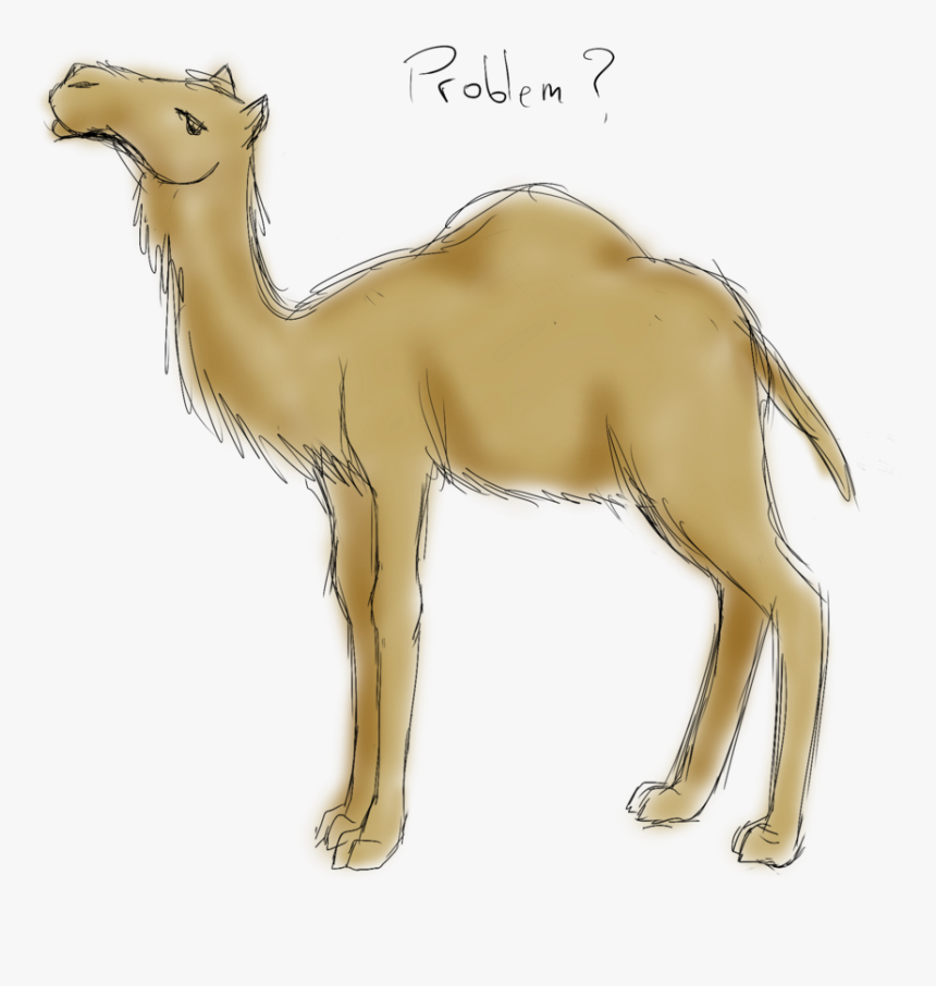 How To Draw A Cartoon Camel Art For Kids Hub