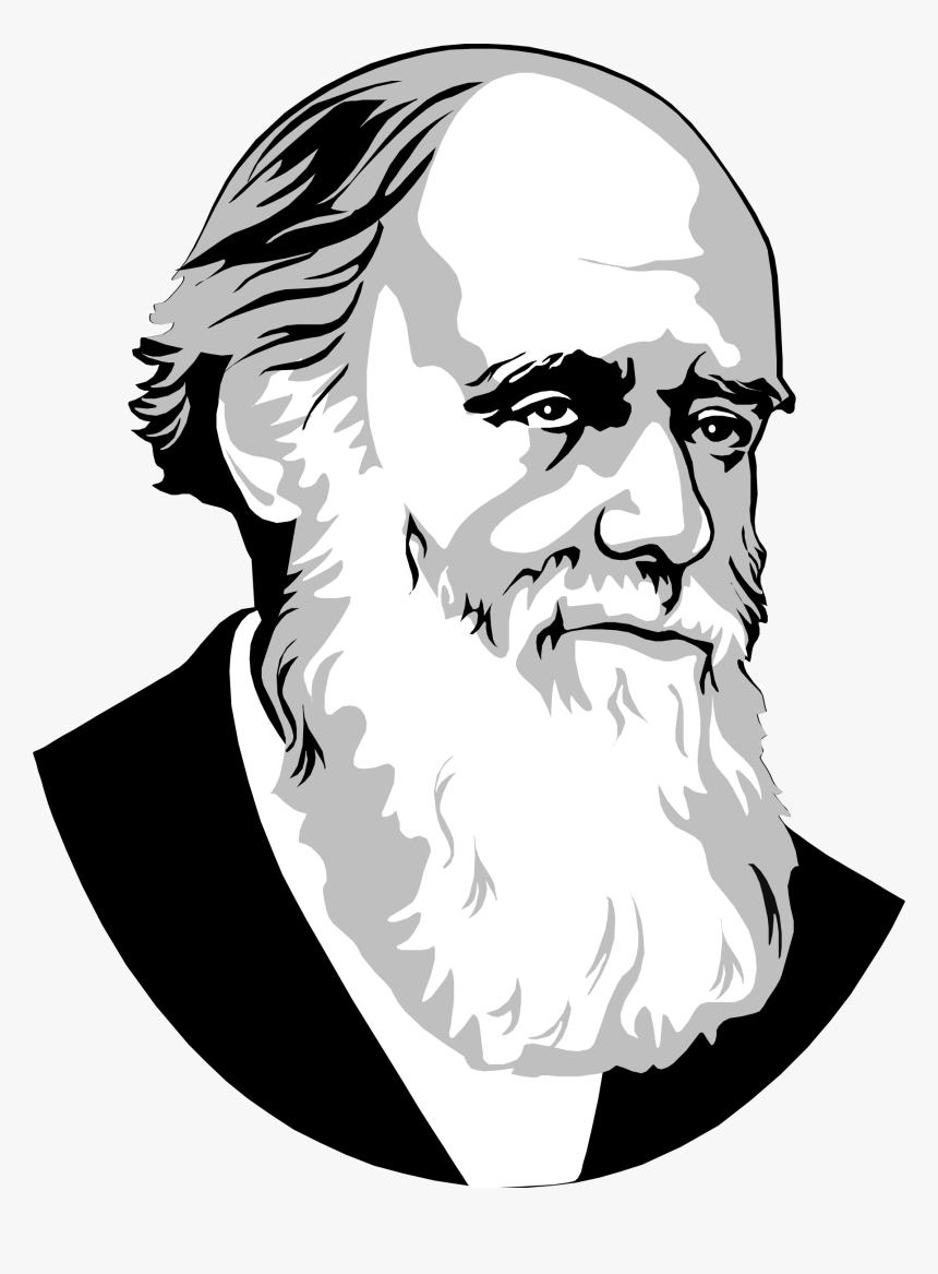 Clip Art Big Image Png - Charles Darwin Simple Drawing, Transparent Png ...