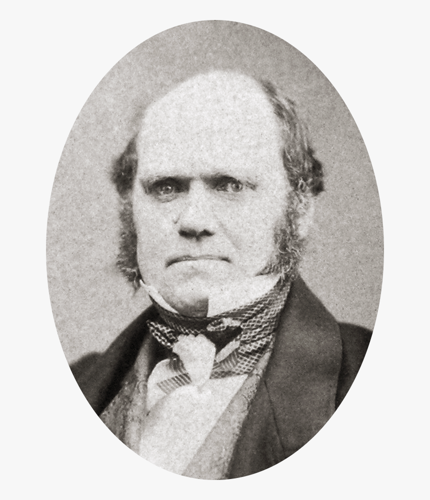 Charles Darwin By Maull And Polyblank, 1855-crop - Charles Robert ...