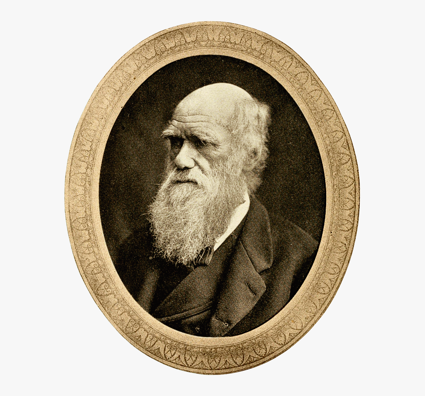 Charles Darwin, HD Png Download , Transparent Png Image - PNGitem