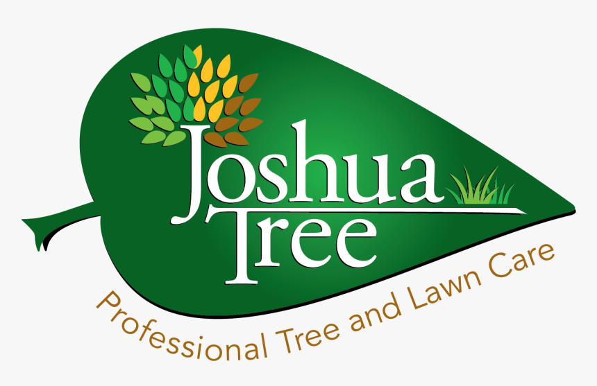 Joshua Tree, HD Png Download , Transparent Png Image - PNGitem