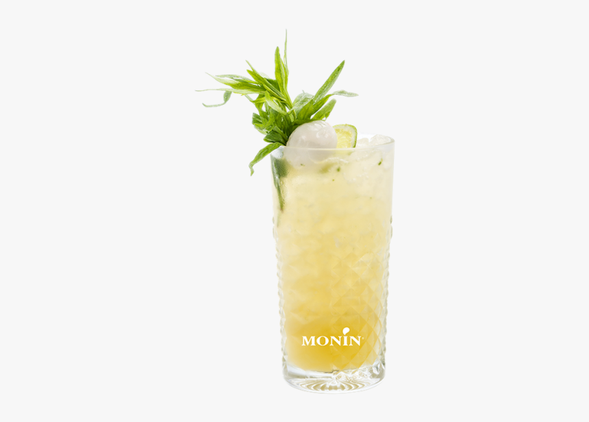 Monin, HD Png Download , Transparent Png Image - PNGitem