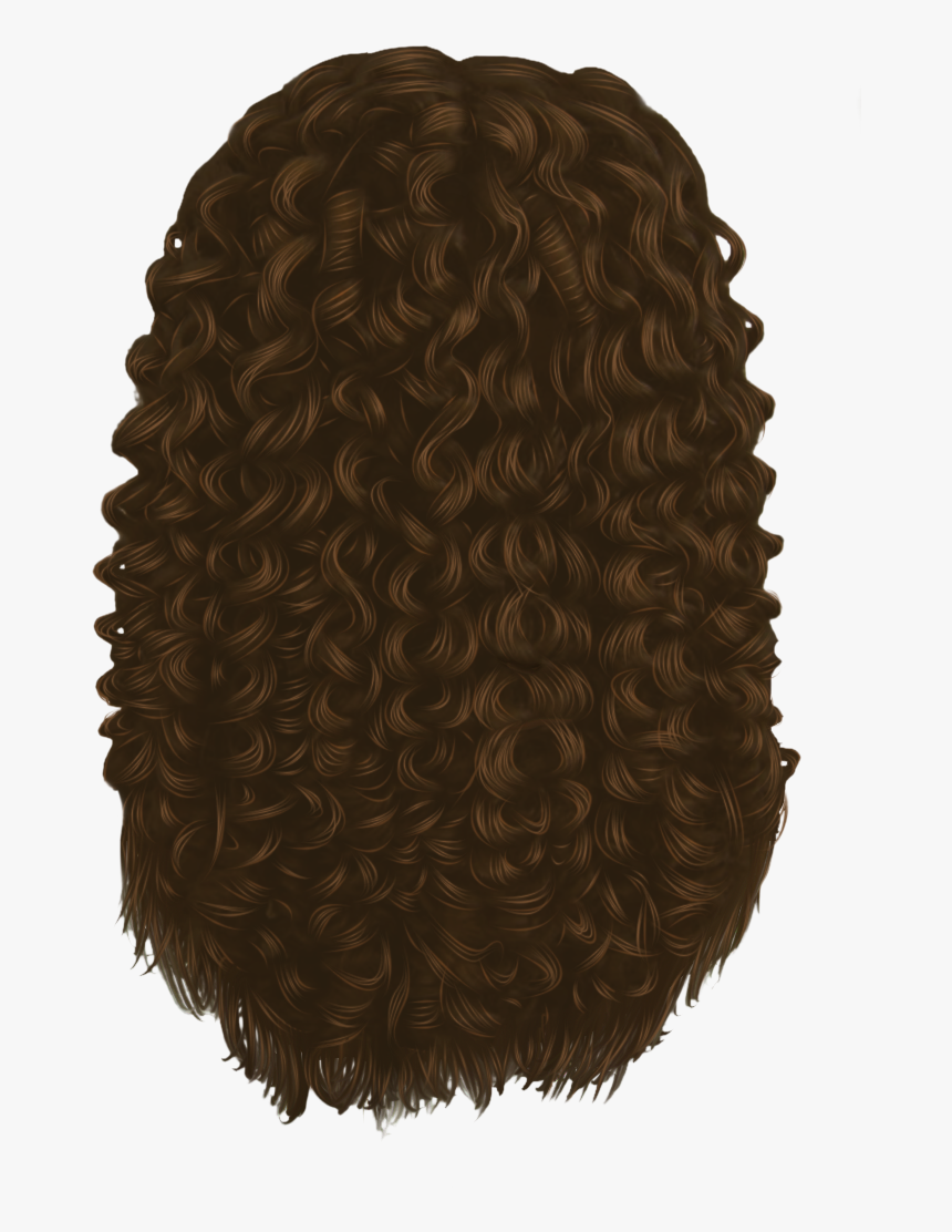 Hair Curls Png Free Download - Lace Wig, Transparent Png , Transparent ...