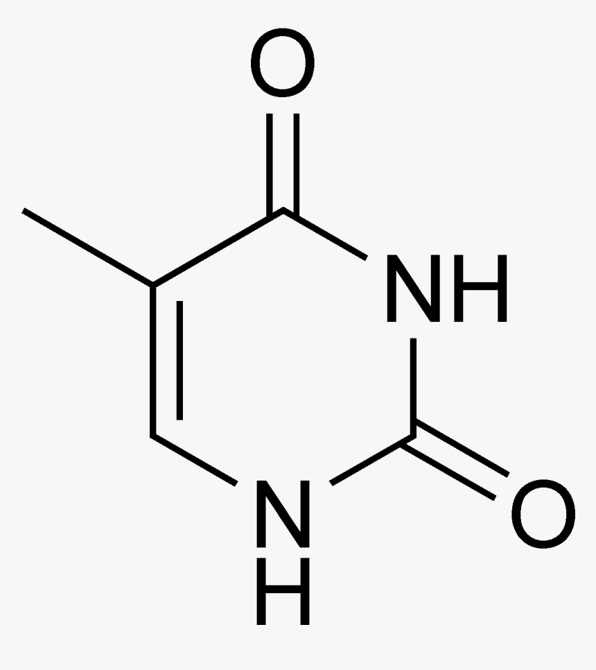 Thymine Chemical Structure, HD Png Download , Transparent Png Image ...