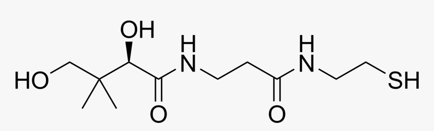 Pantetheine Structure - Alpha 2 Agonist Structure, HD Png Download ...