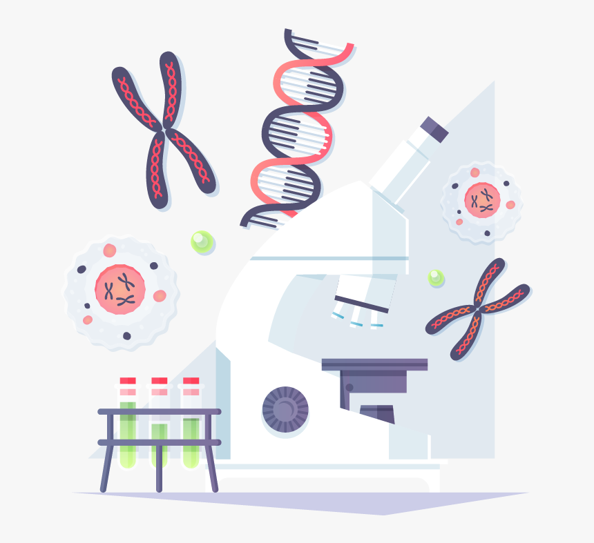 Molecular Structure Transparent Background - Clip Art, HD Png Download ...