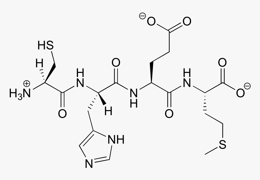 Image058 - Protein Structure Diagram, HD Png Download , Transparent Png ...