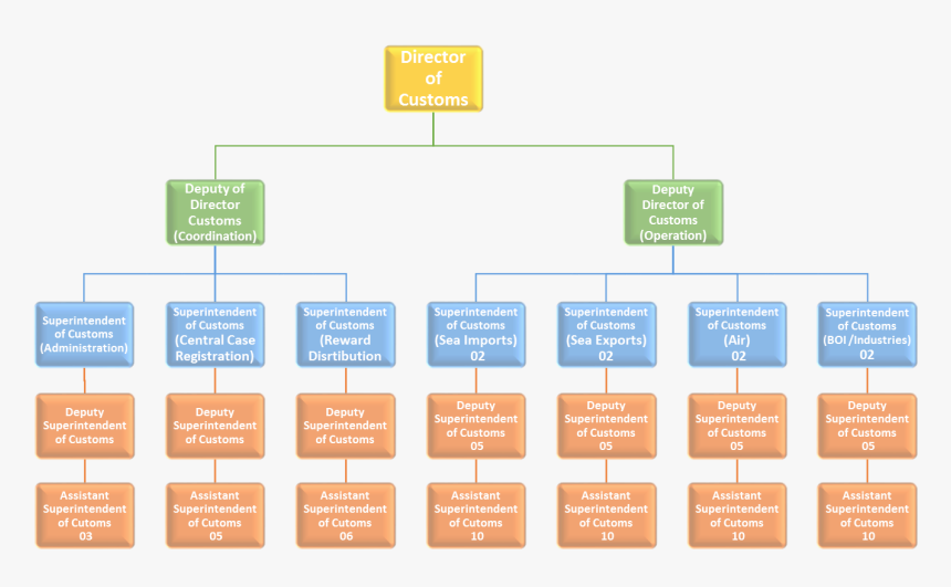 Rex Rabbits Color Chart, HD Png Download , Transparent Png Image - PNGitem