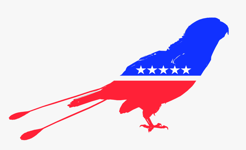 Joe Biden Png, Transparent Png , Transparent Png Image - PNGitem