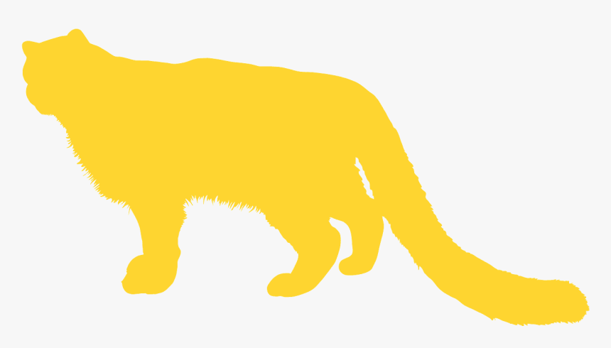 Snow Leopard Png, Transparent Png , Transparent Png Image - PNGitem