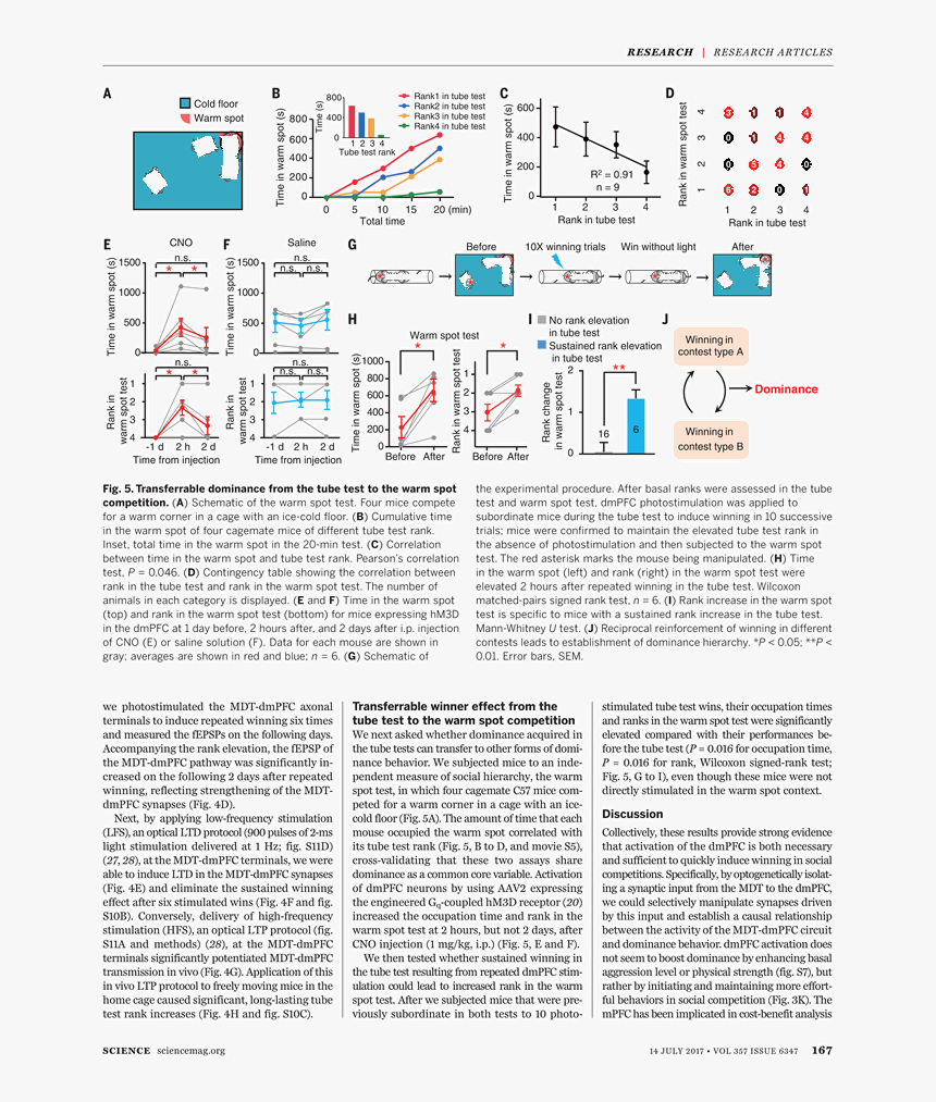 Time Magazine Png, Transparent Png , Transparent Png Image - PNGitem